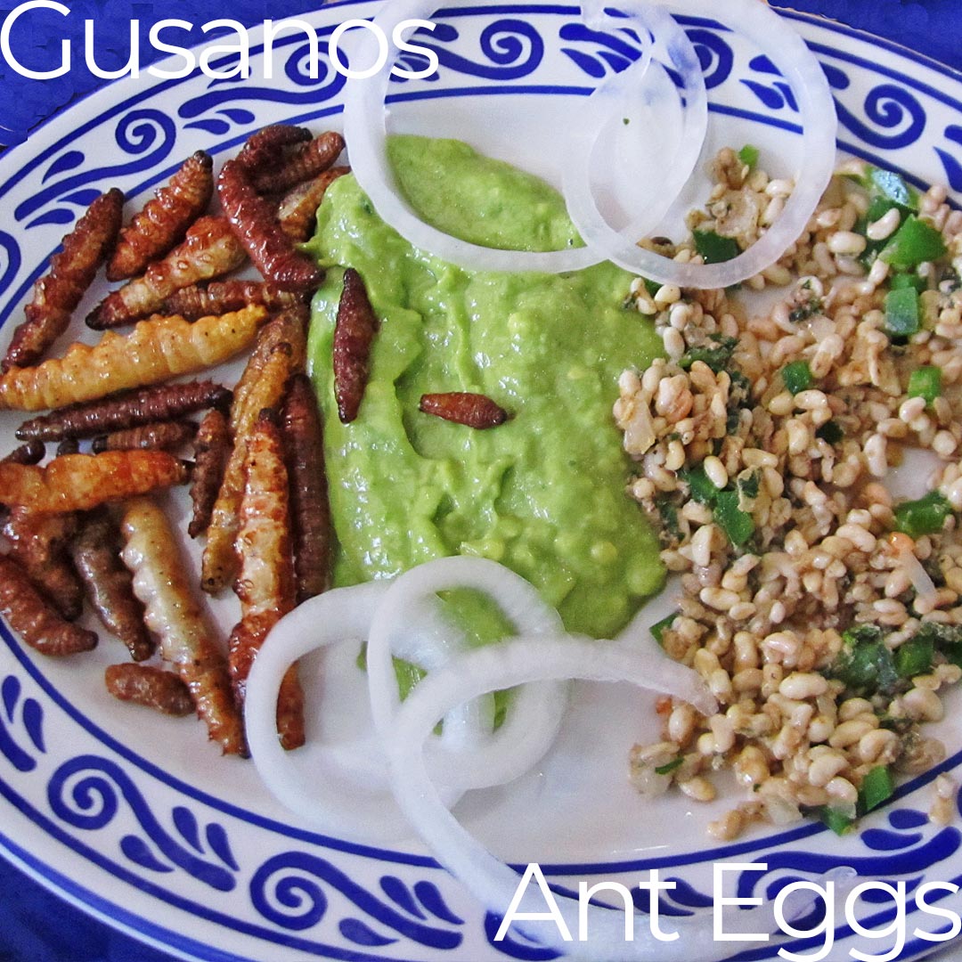 A Local's Guide to Authentic Mexican Food | MEXLocal